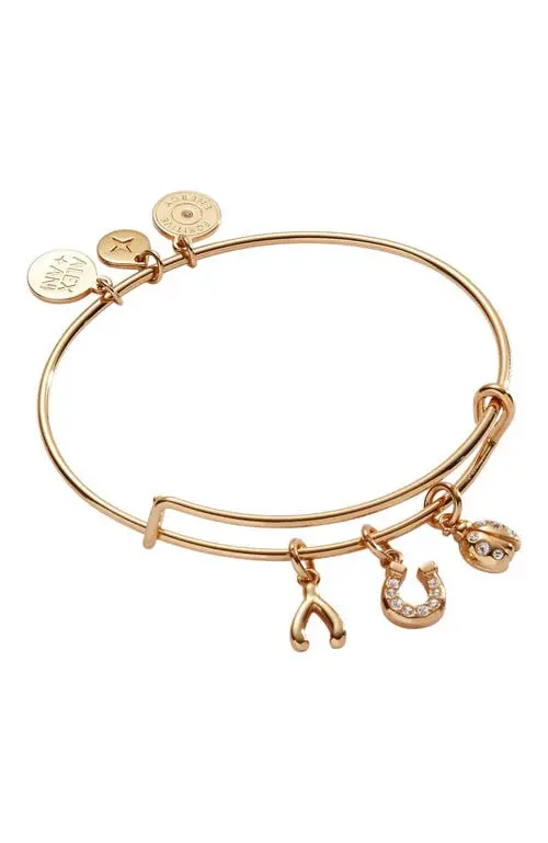 ALEX AND ANI Love And Luck Multi-charm Bangle Bracelet - Gold