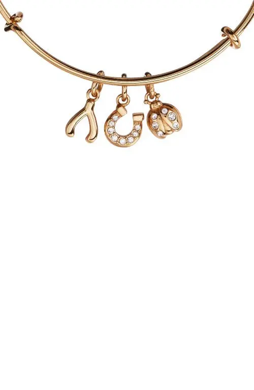 ALEX AND ANI Love And Luck Multi-charm Bangle Bracelet