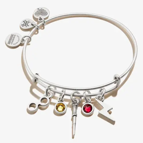 ALEX AND ANI Harry Potter™ Hermione Charm Bangle Bracelet - Silver