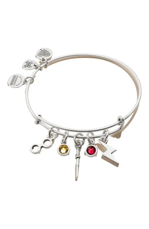 ALEX AND ANI Harry Potter™ Hermione Charm Bangle Bracelet - Silver