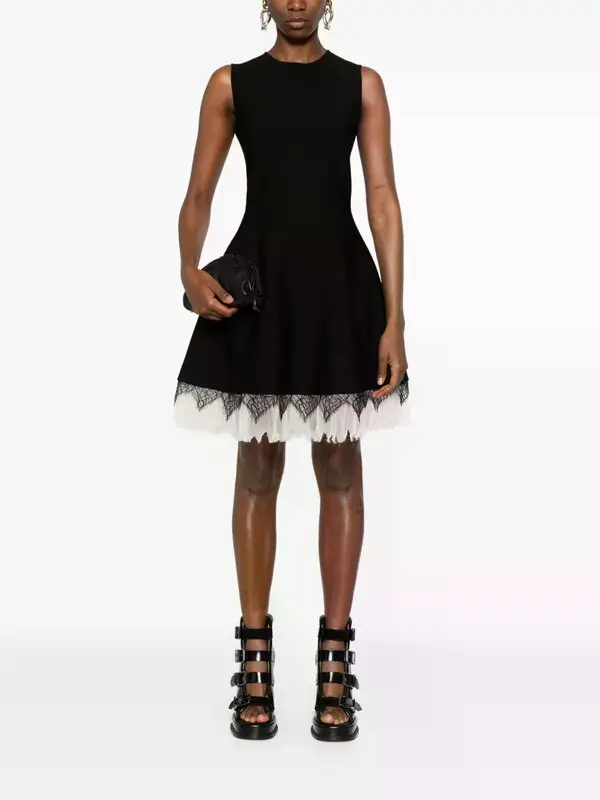 Alexander McQueen Cobweb-lace Mini Dress