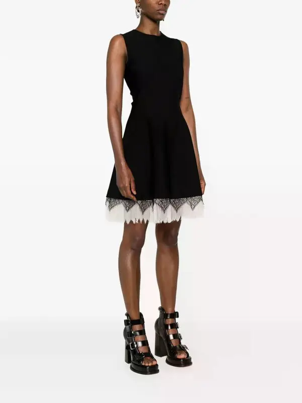 Alexander McQueen Cobweb-lace Mini Dress
