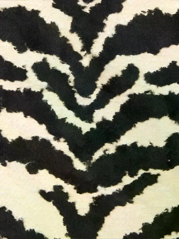 Roberto Cavalli Tiger-print Overcoat