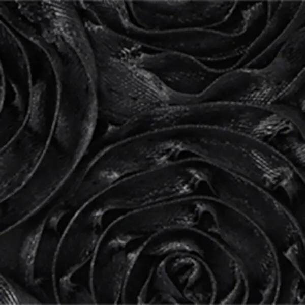 ROGER VIVIER Satin Efflorescence Clutch - Black