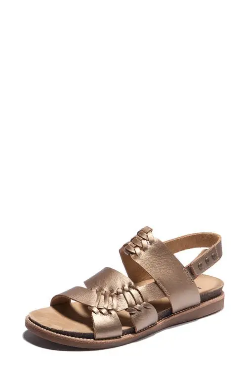 HALSA FOOTWEAR Bella Slingback Sandal - Bronze