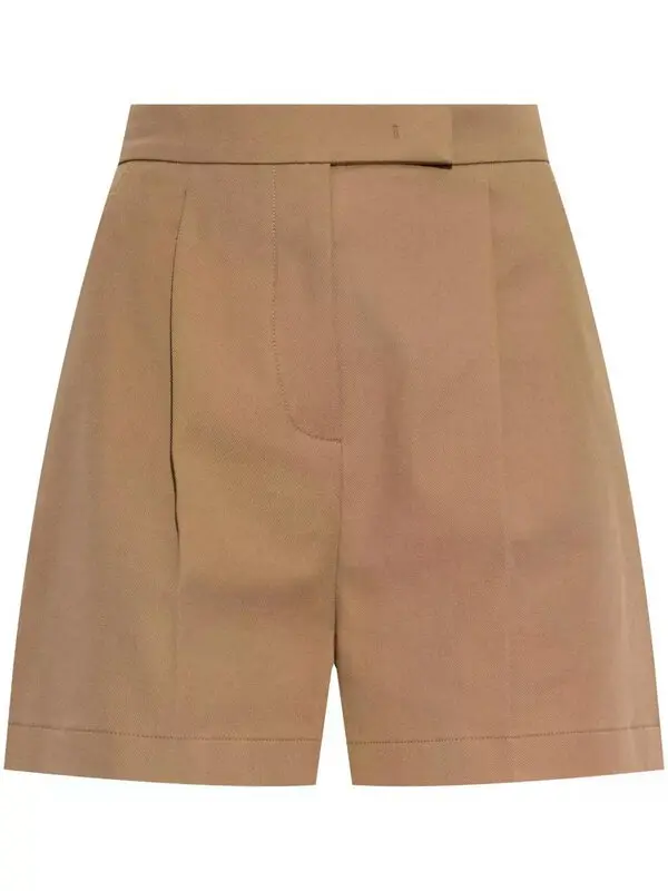 Max Mara Amburgo Shorts - Brown