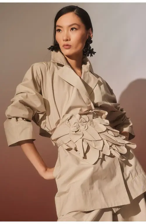 Natori Tech Cotton Taffeta Obi Belt With Embroidery
