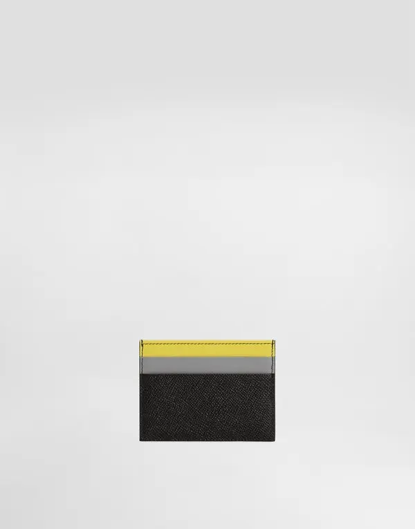 Dolce & Gabbana Dauphine Card Holder - Multicolor