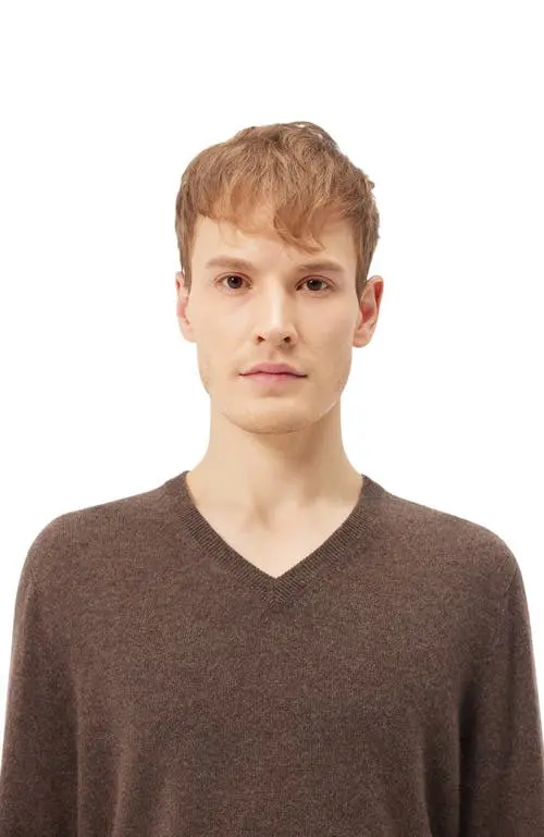 Gobi Cashmere Essential V-neck Cashmere Sweater - Cocoa