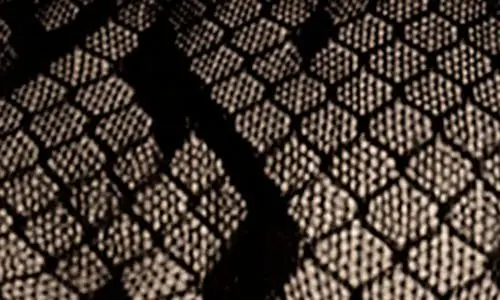 Wolford Python Print Net Tights