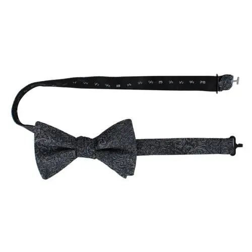Trafalgar Esteban Scrolling Vines Silk Bow Tie - Silver And Black