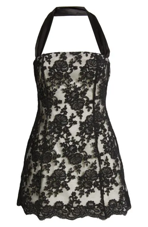Delfi Collective Isabella Lace Halter Minidress In Black - 60% Off |  Editorialist