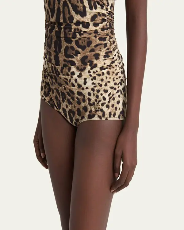 Dolce & Gabbana Leopard-print One-piece Swimsuit - Leoprd