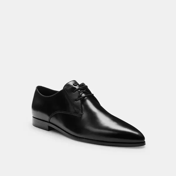 Coach Derby Shoes