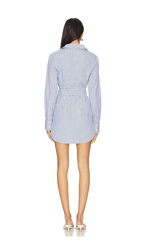 ALL THE WAYS Avalia Mini Dress