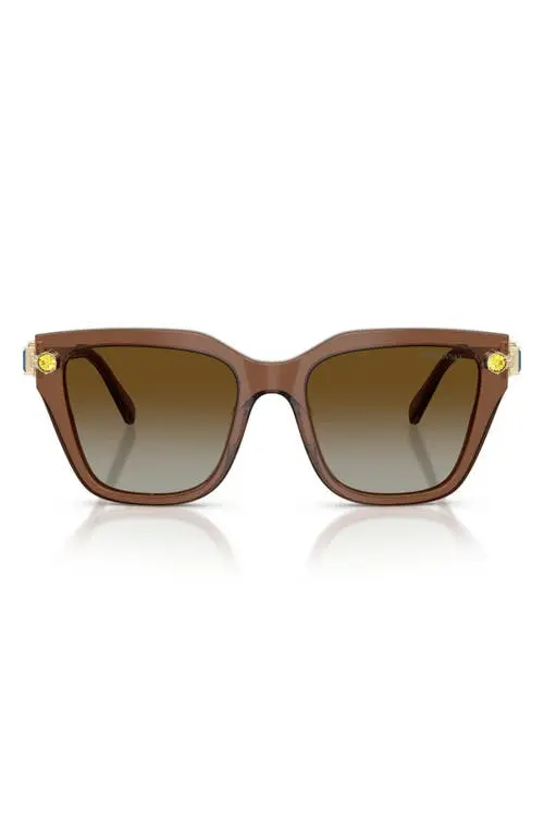 SWAROVSKI 53mm Embellished Sunglasses - Brown/brown Polar