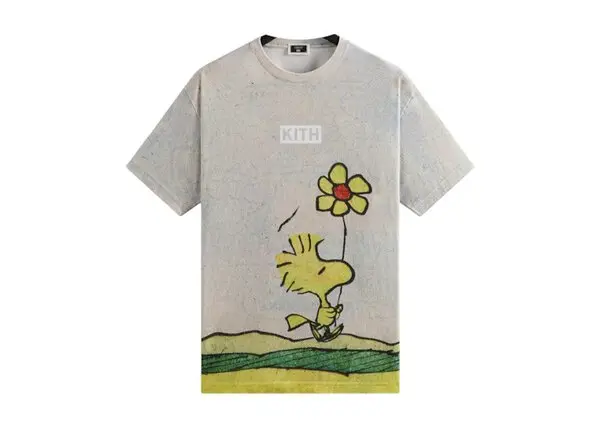 Kith X Peanuts Woodstock Comic Vintage Tee Shirt
