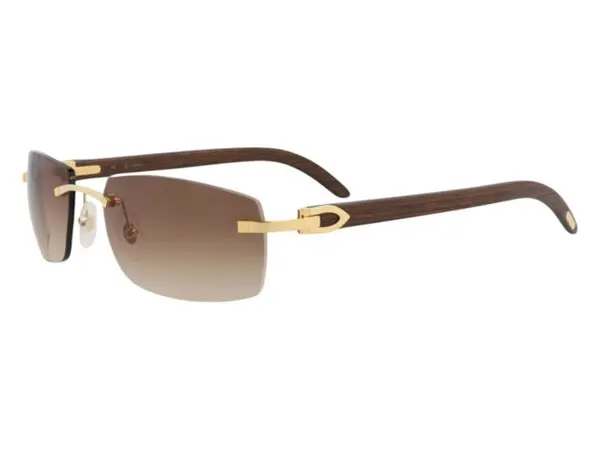 CARTIER Square Frame Sunglasses - Gold Brown (ct0015rs/30008200/001)