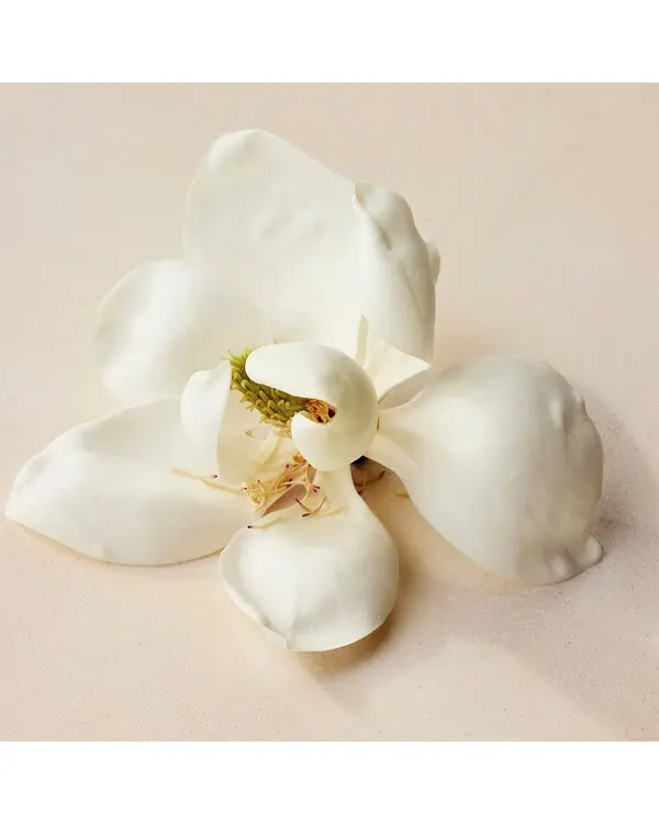 Chloé Atelier Des Fleurs Magnolia Alba Eau De Parfum 1.6 Oz