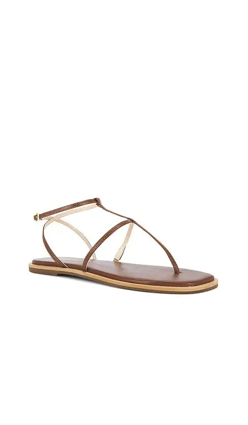 Kaanas Aisha Strappy Gladiator Sandal