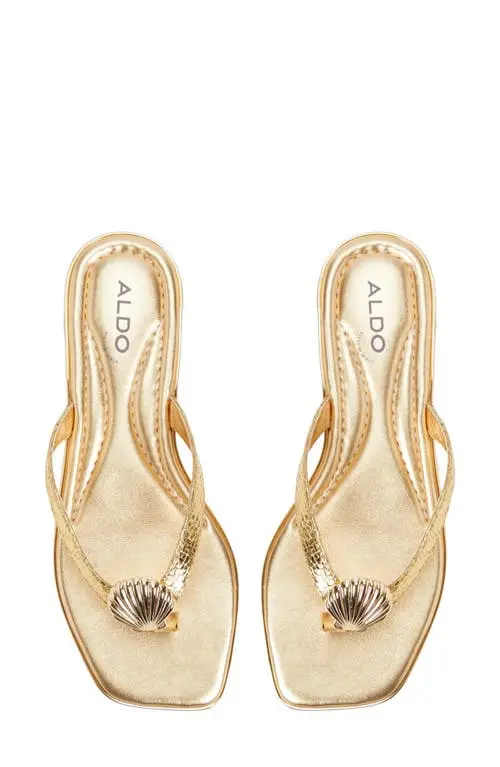 Aldo Conchiglia Flip Flop