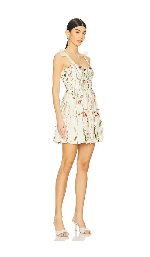 Steve Madden Floral Embroidered Tie-strap Dress