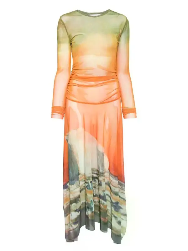 Printed Mesh Dress