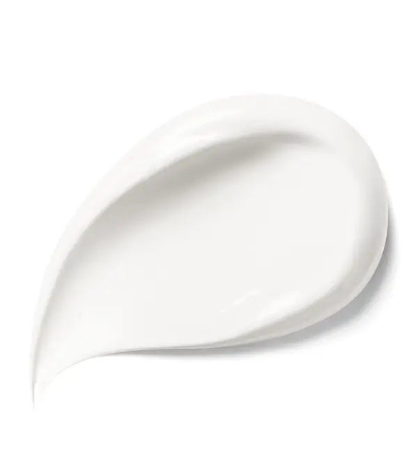 Dior Capture Day Creme - Silver