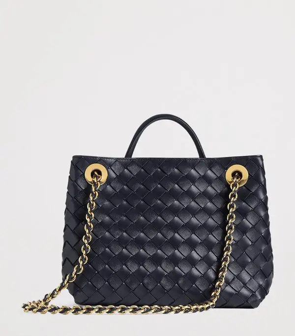 Bottega Veneta Small Andiamo Chain Shoulder Bag