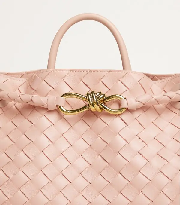 Bottega Veneta Small Andiamo Chain Shoulder Bag