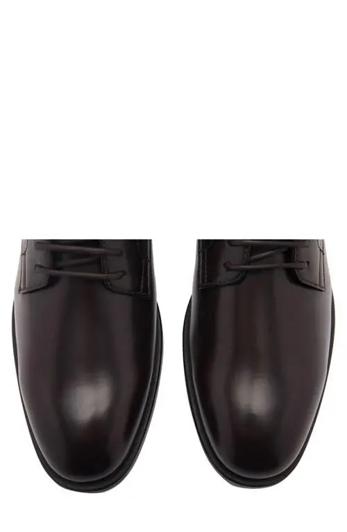 Mango Plain Toe Derby