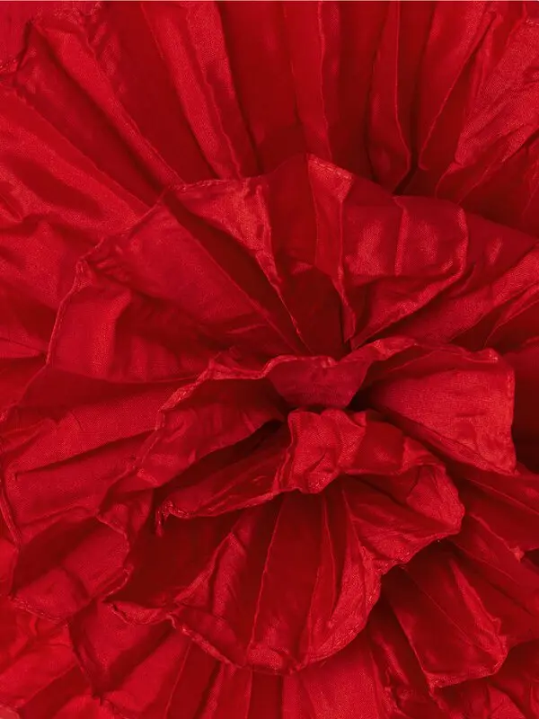 ANDRES OTALORA No Me Olvides' Appliquéd Pleated Taffeta Top - Red