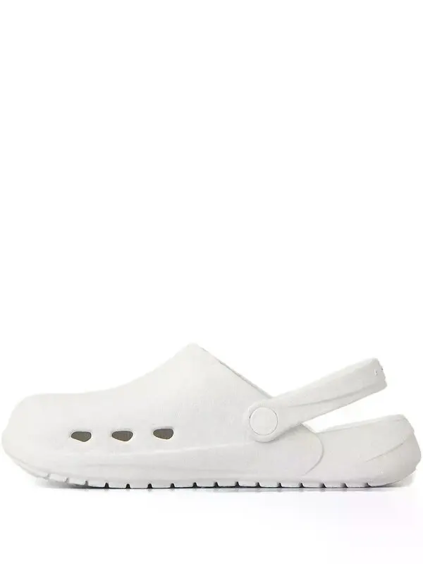ALES GREY Basic Slides