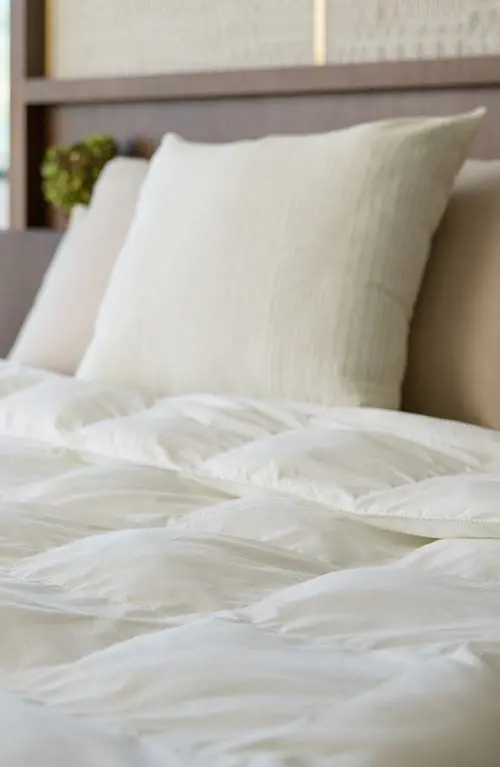 Cozy Earth Down Alternative Comforter