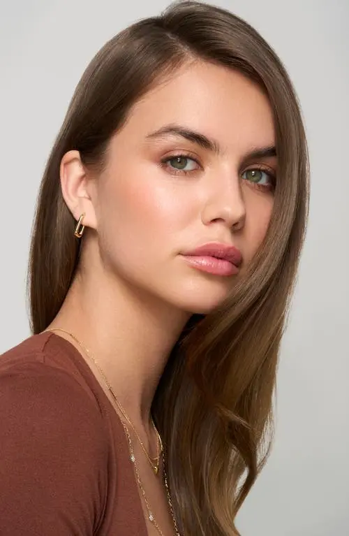 Bony Levy 14k Gold Rectangular Hoop Earrings - 14ky
