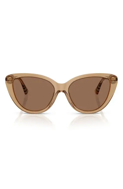 Burberry 55mm Cat-eye Sunglasses - Beige/dark Brown