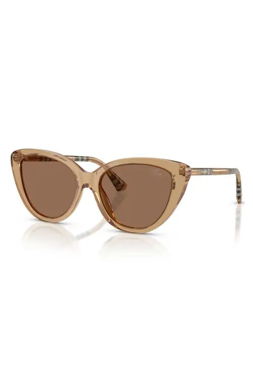 Burberry 55mm Cat-eye Sunglasses - Beige/dark Brown