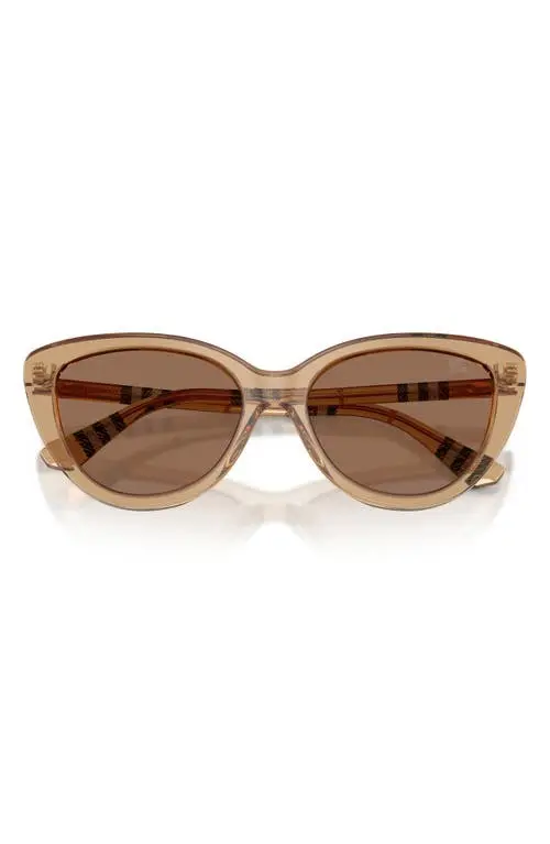 Burberry 55mm Cat-eye Sunglasses - Beige/dark Brown