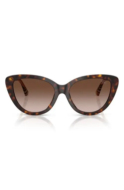 Burberry 55mm Cat-eye Sunglasses - Dark Havana/brown Gradient