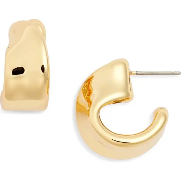 Jenny Bird Aurelia Hoop Earrings - High Polish Gold
