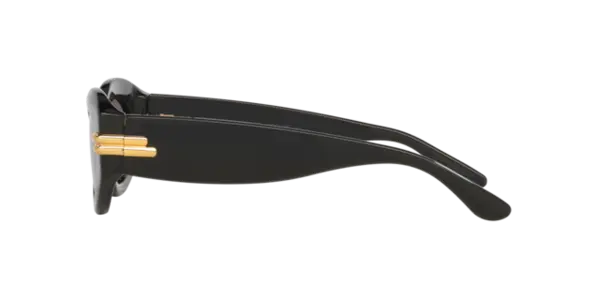Bottega Veneta Bv1322s Round Sunglasses - Black