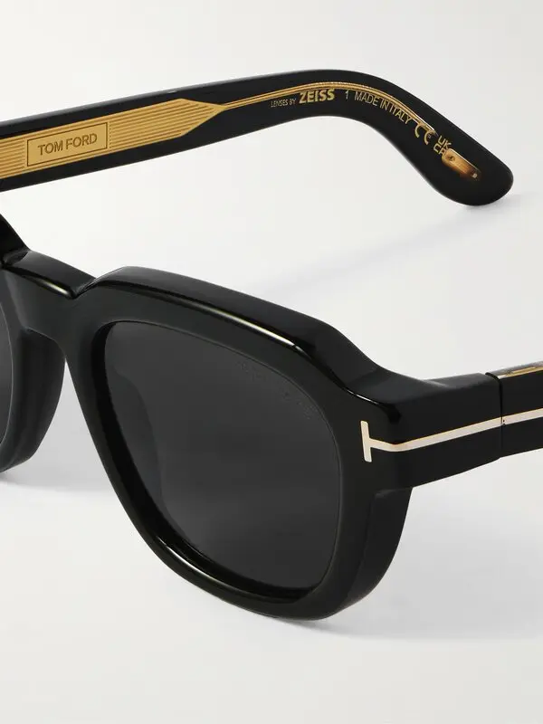 TOM FORD Icon D-frame Sunglasses