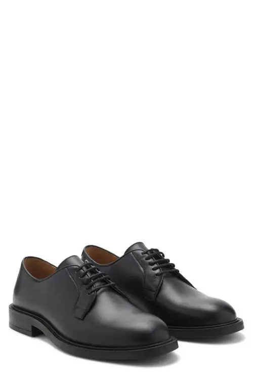 Mango Leather Oxford