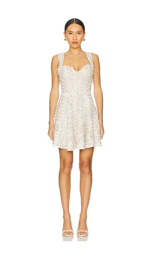 ELLIATT Cali Corset Mini Dress