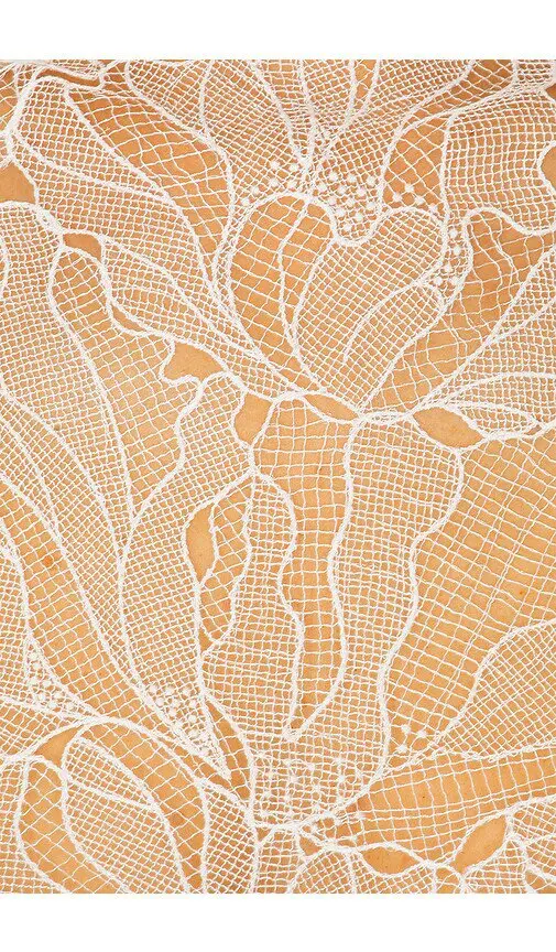 BRONX BANCO Maraya Arabella Lace Mini Dress