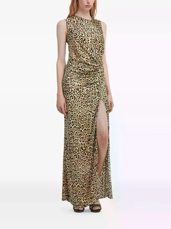 Roberto Cavalli Leopard-print Maxi Dress
