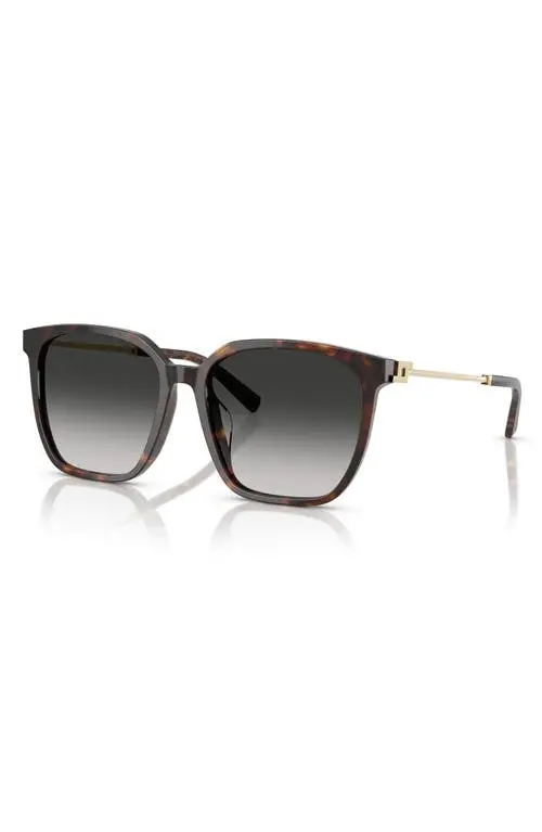 Tiffany & Co. 56mm Gradient Square Sunglasses - Havana/grey Gradient