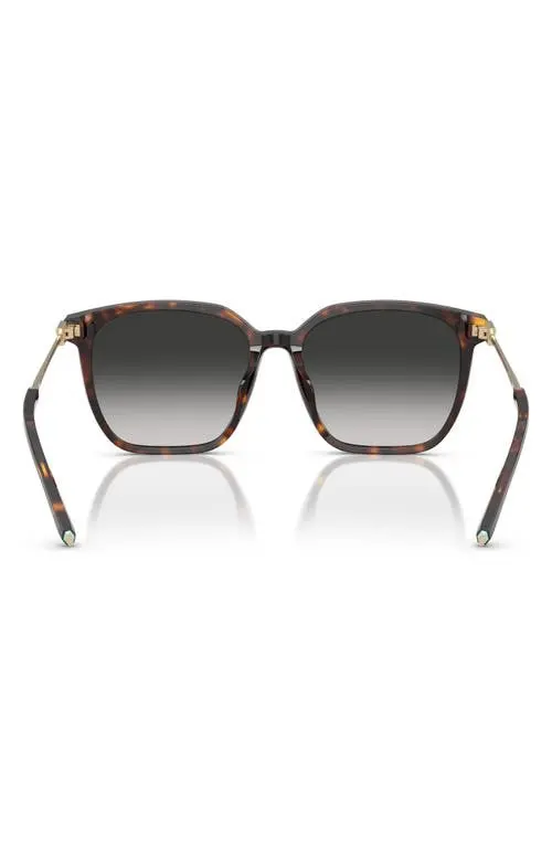 Tiffany & Co. 56mm Gradient Square Sunglasses - Havana/grey Gradient