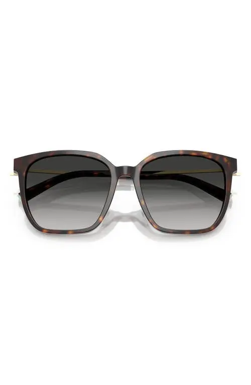 Tiffany & Co. 56mm Gradient Square Sunglasses - Havana/grey Gradient