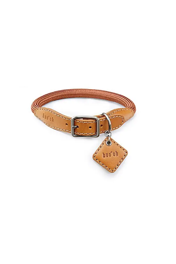 BOO OH Ray Dog Collar - Copper